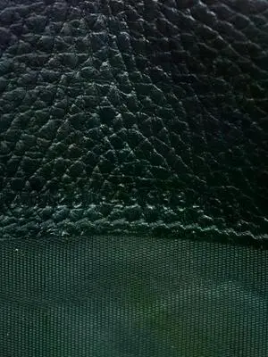 Gucci Dionysus Chain Wallet