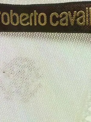 Roberto Cavalli Lace Detail Mini Dress