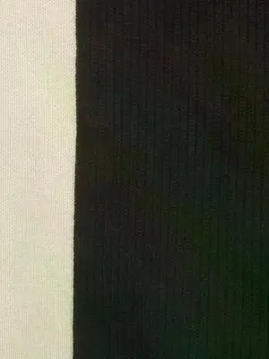 JOSEPH Colour-block Turtleneck Sweater
