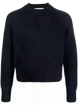 Extreme Cashmere N°167 Please Cashmere Jumper