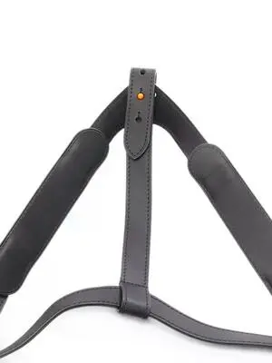 LOUIS VUITTON 2019 Monogram Utility Harness Bag Crossbody Bag
