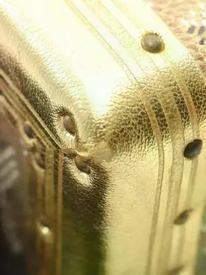 Goyard Saint-honoré Trunk Bag