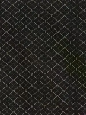 TWINSET Logo-pattern Frayed Scarf
