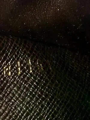 LOUIS VUITTON 2011 Sarah Monogram Idylle Wallet
