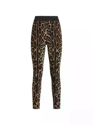 Dolce & Gabbana Leo-print Cady Leggings