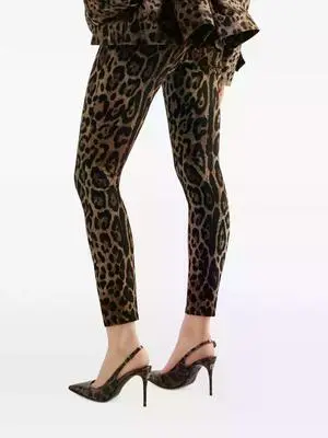 Dolce & Gabbana Leo-print Cady Leggings
