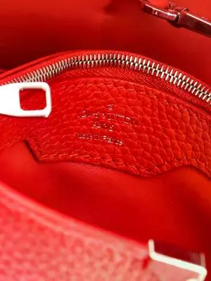 LOUIS VUITTON Capucines Bag Leather Pm Satchel