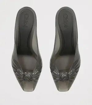 Chloé Jelly Heeled Mules 30