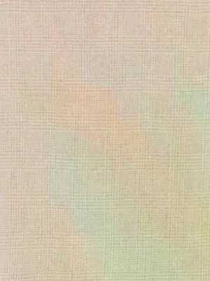 Fabiana Filippi Fine-knit Scarf