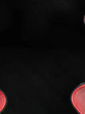 LOUIS VUITTON Epi Petit Bicolor Noe Bucket Bag