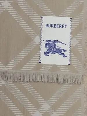Burberry Scarf Colour