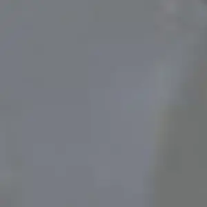 Giorgio Armani Irregular Oval Sunglasses