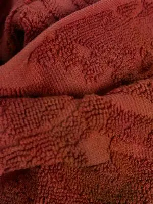 Etro Paisley Jacquard-weave Bath Towel