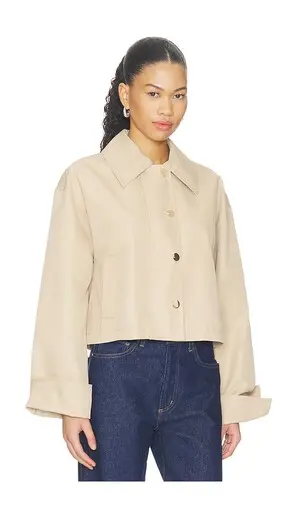 FAVORITE DAUGHTER The Rue Cropped Trench In . Also