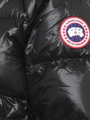 Canada Goose Quilted Down Jacket With Hood