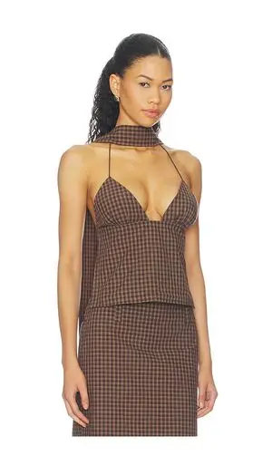 Lioness Play On Halter In . Also