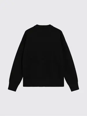 AMI Paris Jumper Colour