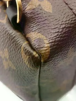 LOUIS VUITTON Mini Palm Springs Monogram Backpack - Brown