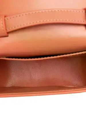 Celine Shiny Calfskin Triomphe Cross Body Bag - Brown