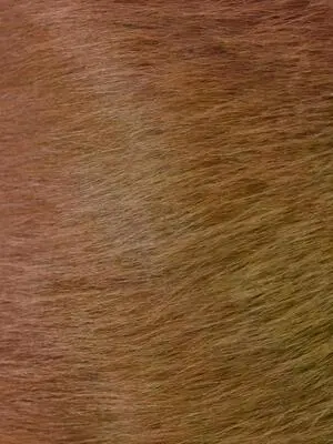Simone Rocha Faux-fur Hook-closure Shawl