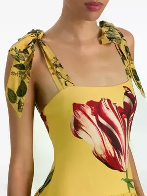 Alice + Olivia Tulip-print Tie-shoulder Maxi Dress