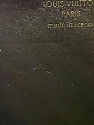 LOUIS VUITTON 2021-2026 Taurillon Capucines Wallet Long Wallets