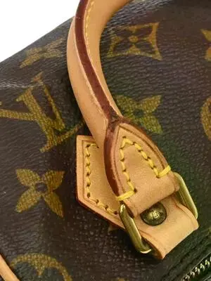 LOUIS VUITTON Monogram Canvas Speedy Handbag