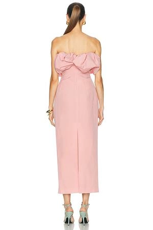 Magda Butrym Strapless Midi Dress