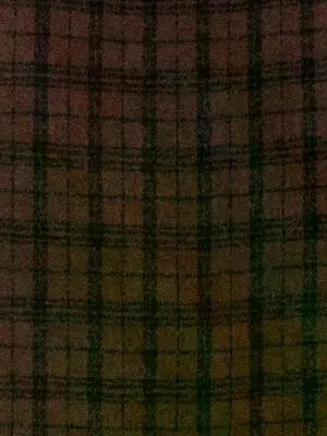 Destin Check-pattern Frayed Scarf