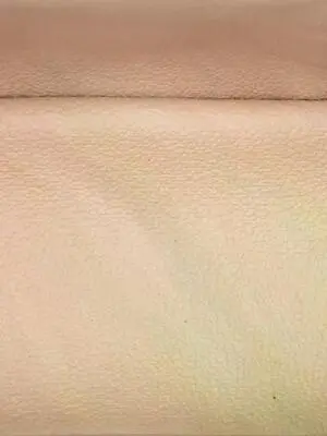 LOUIS VUITTON Monogram Nice Nano Vanity Bag