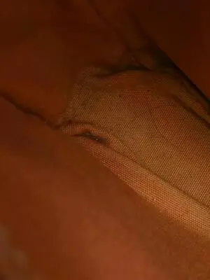 Celine Boogie Handbag