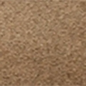 UGG Suede Tasman Ii Slippers