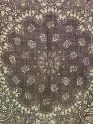 SGOMBERO CANTINE Luna Paisley-print Frayed Scarf