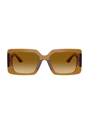 Versace Square Sunglasses - Translucent Brown