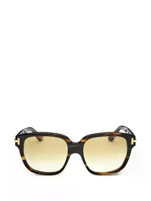 TOM FORD Icon Butterfly Sunglasses - Brown