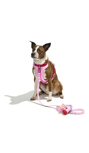 WILD ONE Standard Leash - Pink