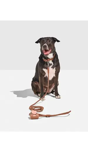 WILD ONE Rope Leash - Brown