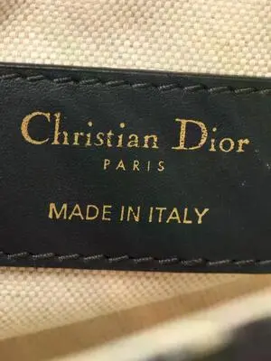 Dior 2000-2026 Mini Oblique Canvas Saddle Bag Satchel