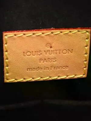 LOUIS VUITTON 2017 Speedy 25 Space Collection Tote Bag