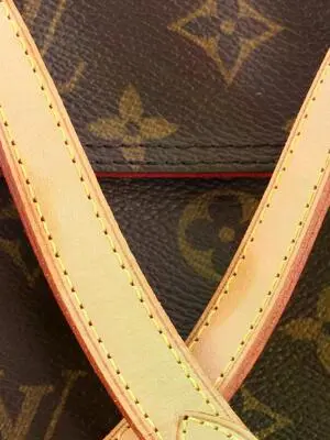 LOUIS VUITTON Monogram Canvas Viva Cite Pm Crossbody Bag