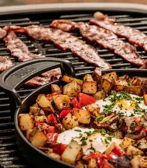 WEBER Traveler Stealth Portable Gas Bbq