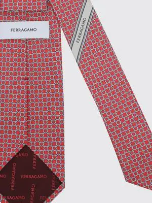 FERRAGAMO Tie Colour