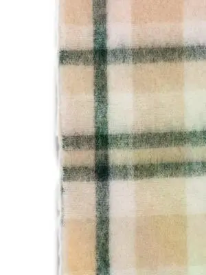 Closed Check-pattern Fringed Scarf