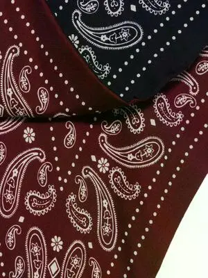 Destin Paisley-print Wool Scarf - Black