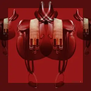 NEIGHTIV Horse Saddles Silk Scarf- Saddle Power Red