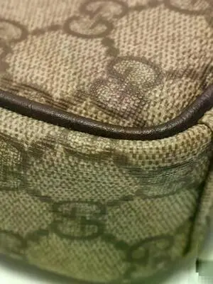 Gucci 2000s Gg Plus Cross Body Bag