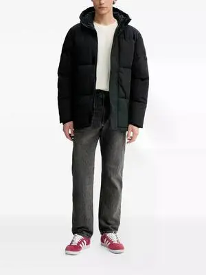 Hollister Hooded Puffer Coat