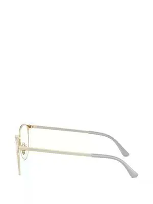 Ray-ban Round-frame Glasses
