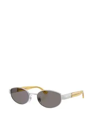 Persol Oval-frame Sunglasses
