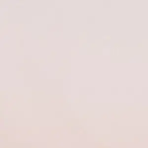 Prada Set Of 2 Plinth Champagne Coupes